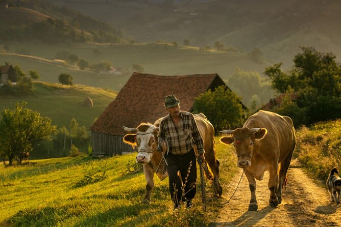 Cycling in Transylvania - In-Depth Look at the Transylvania E-Bike Tour