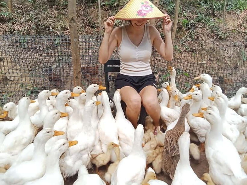 Cycling Through Countryside and Cooking Class in Duck Stop - Deep Dive into the Experience