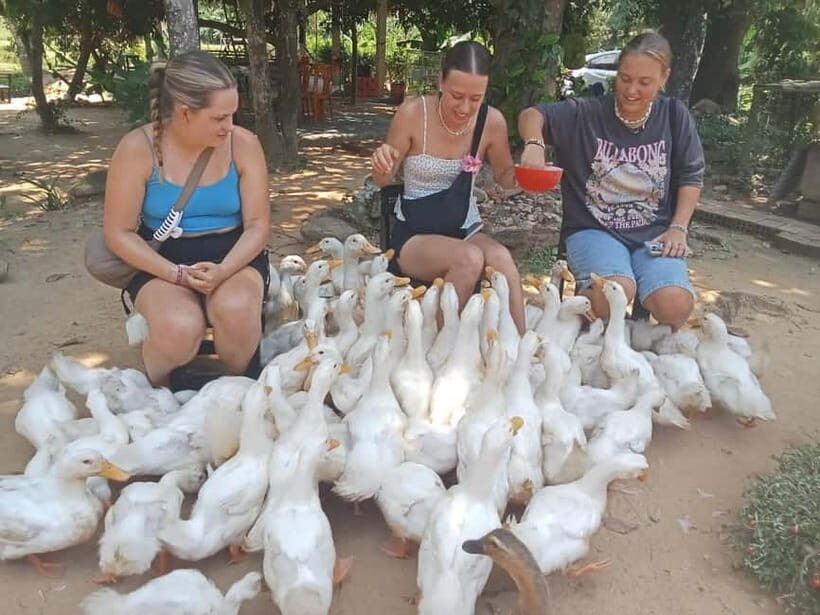 Cycling Through Countryside and Cooking Class in Duck Stop - Authenticity and Local Insights