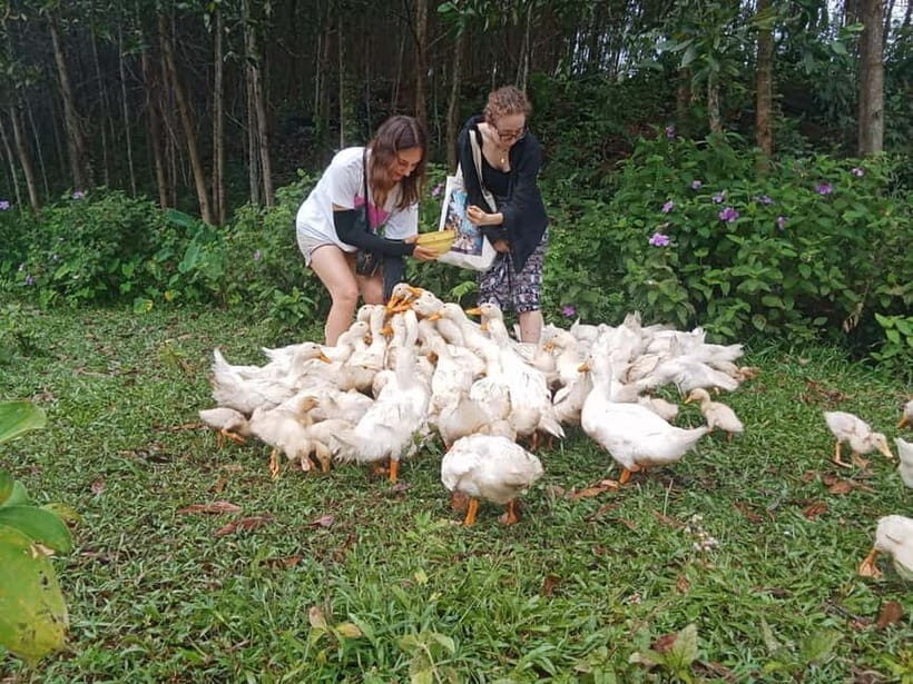 Cycling Through Countryside and Cooking Class in Duck Stop - Practical Considerations and Tips