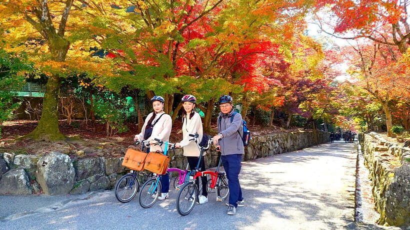Cycling Tour at Uji's Matcha Green Tea Fields and Heritage - Key Points