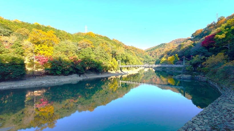 Cycling Tour at Uji's Matcha Green Tea Fields and Heritage - Introduction: Why Choose a Cycling Tour in Uji?