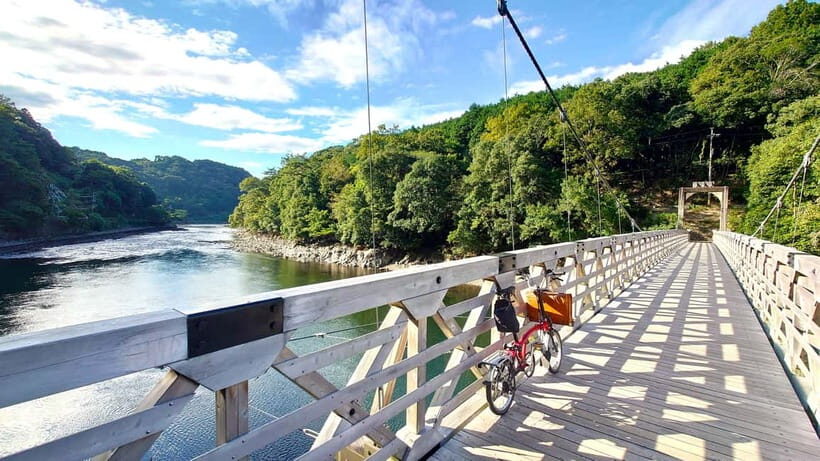 Cycling Tour at Uji's Matcha Green Tea Fields and Heritage - The Sum Up: Who Will Love This Tour?