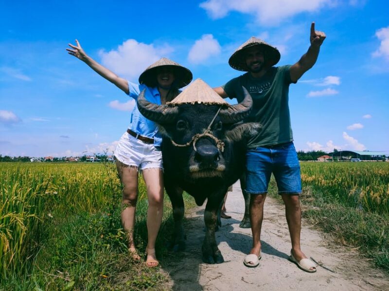 Cycling, Water Buffalo Riding, Traditional Farming Life - Cycling, Water Buffalo Riding, Traditional Farming Life: An Authentic Vietnamese Experience