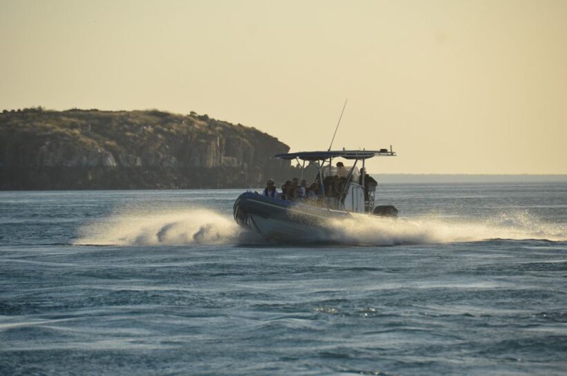 Cygnet Bay Island Explorer Scenic Cruise Experience - An Overview of the Experience