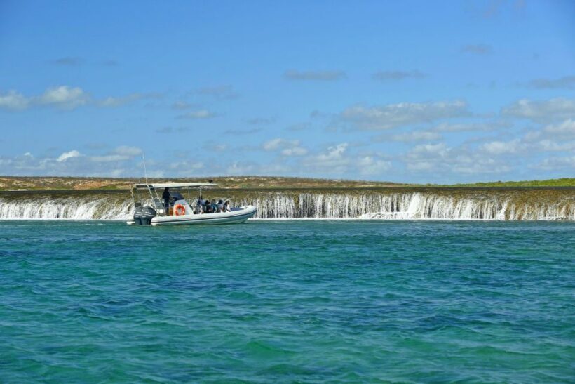 Cygnet Bay Unique Tidal Waterfall Reefs Scenic Cruise - The Experience in Detail