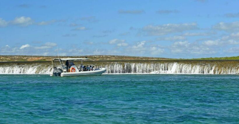 Cygnet Bay Unique Tidal Waterfall Reefs Scenic Cruise - Authenticity and Reviews: What Travelers Say