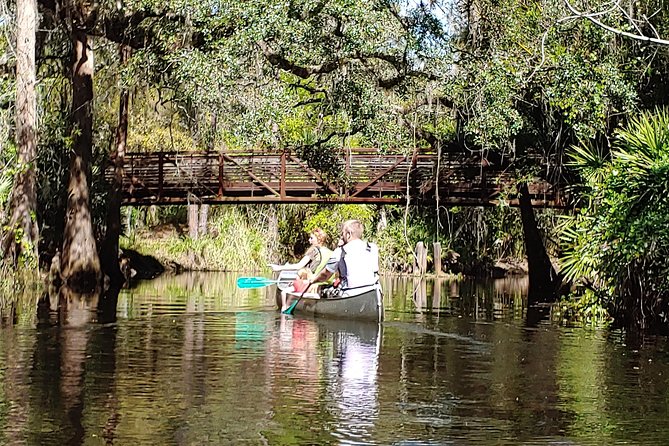 Cypress Forest: Guided Nature Kayak Eco-Tour - Discovering Orlando’s Hidden Wetlands