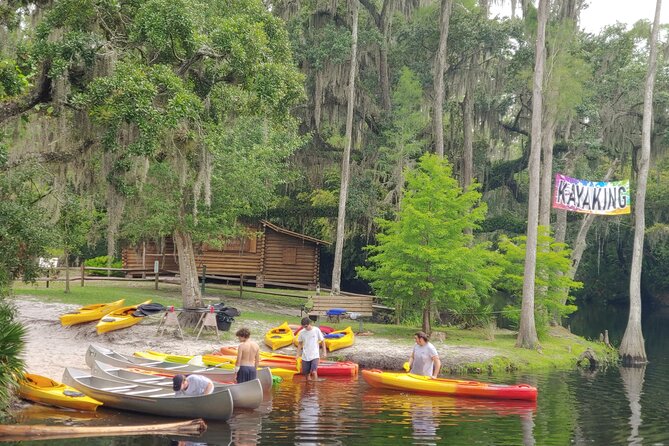 Cypress Forest: Guided Nature Kayak Eco-Tour - Final Thoughts