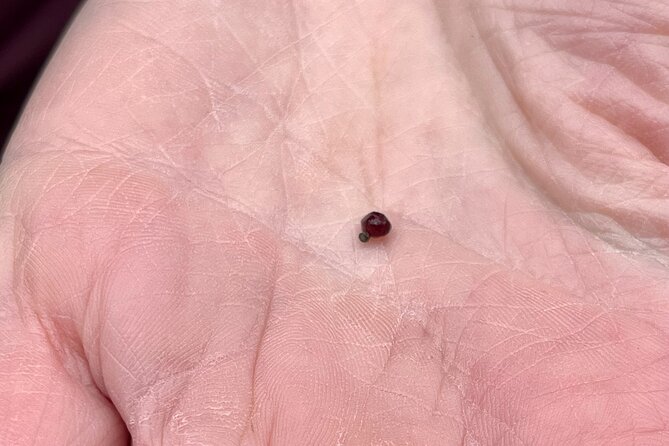 Czech Countryside Scenical Hike to the Castle, Local Deli Tasting - Health and Accessibility