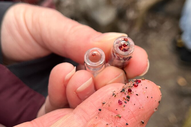 Czech Countryside Scenical Hike to the Castle, Local Deli Tasting - Discovering the Remains of Děkovka Castle