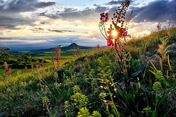 Czech Countryside Villages Tour From Prague With Animal Farm - Exploring the Goat Farm