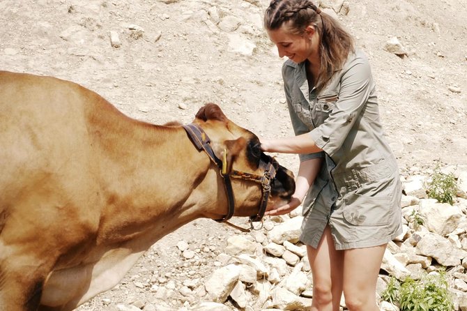 Czech Countryside Villages Tour From Prague With Animal Farm - Visiting the Medieval Castle