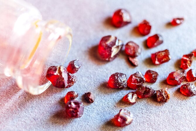 Czech Garnet Panning With Animal Farm, Lunch 4WD Trip From Prague - Tasting Mineral Waters at the Local Spring