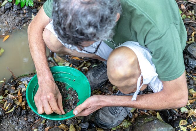 Czech Garnet Panning With Animal Farm, Lunch 4WD Trip From Prague - Panning for Garnets in the Countryside