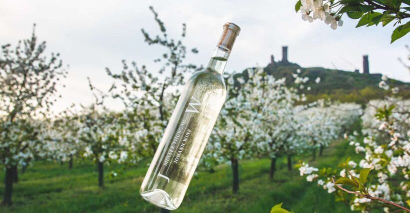 Czech Vineyards and Wine Tasting 4WD Tour with Lunch - Who Will Love This Tour?