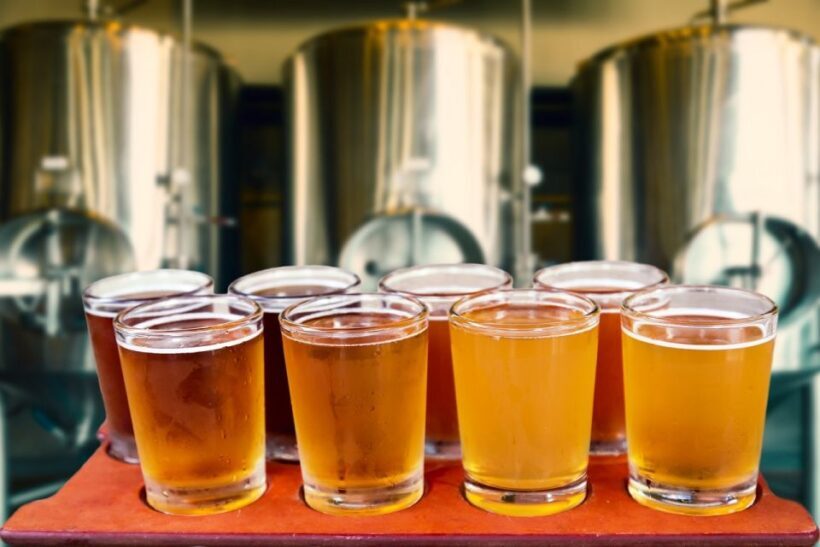 Czestochowa Private Polish Beer Tasting Tour - Final Thoughts