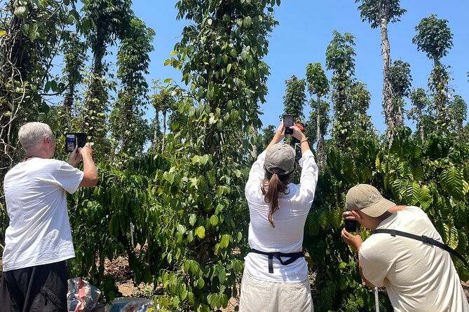 Da Lat: 3 Waterfalls Tour (Datanla - Elephant - Pongour) - The Itinerary in Detail