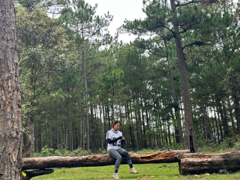 Da Lat City Sunrise Cloud Hunting Tour With Breakfast - An Authentic High-Altitude Sunrise Experience