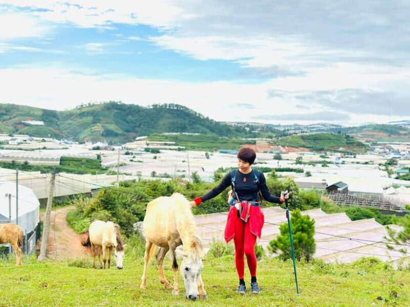 Da Lat City Sunrise Cloud Hunting Tour With Breakfast - Final Thoughts