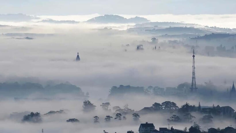 Da Lat: Cloud Hunting and Nature Morning Tour - An In-Depth Look at the Experience