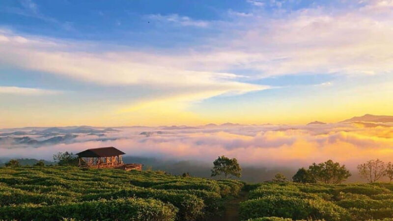 Da Lat: CLOUD HUNTING AND THE GLOW OF DAWN TOUR - FAQs