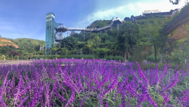 Da Lat: Countryside Chuon Chuon Bistro Entry Ticket - What to Expect at Chuon Chuon Bistro