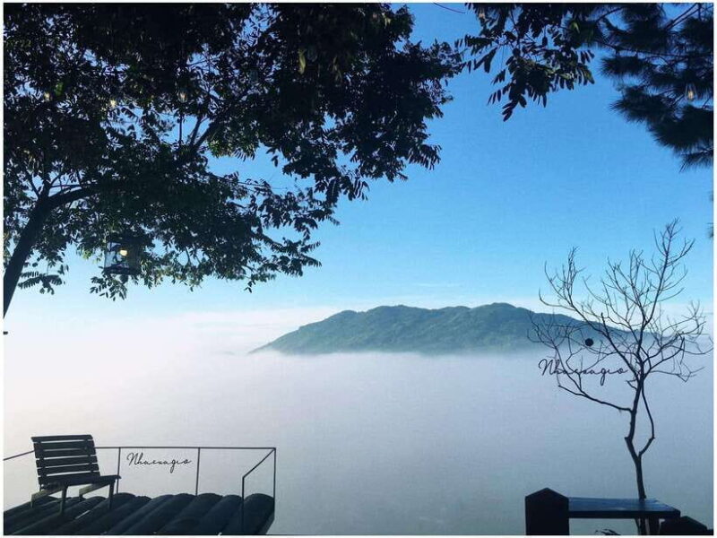 Da Lat: Sunrise Panorama, Green Tea Hill and Strawberry Farm - What to Expect: A Detailed Breakdown