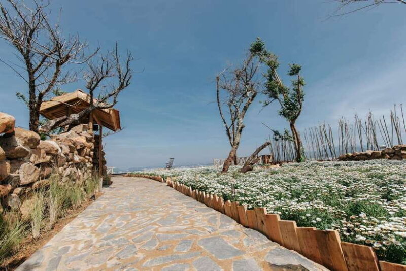 Da Lat: Sunrise Panorama, Green Tea Hill and Strawberry Farm - FAQ