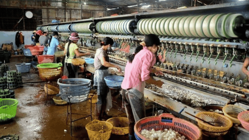 Da Lat's Most Beautiful Nature Discovery Tour (Private Car) - What’s Included & What’s Not