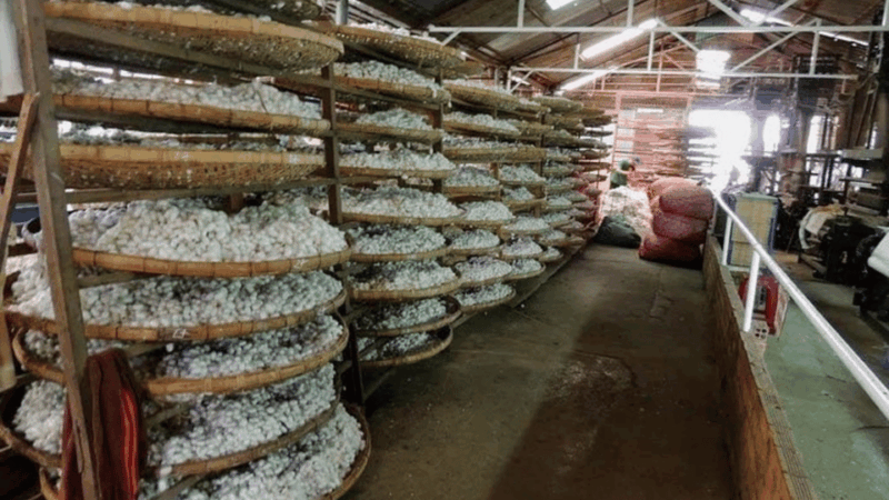 Da Lat's Most Beautiful Nature Discovery Tour (Private Car) - FAQs