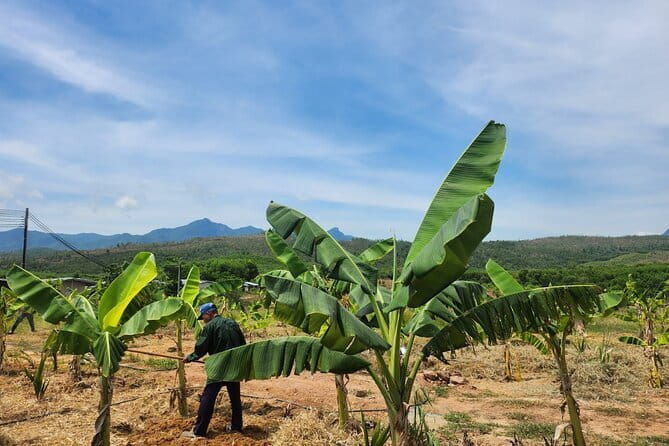 Da Nang ATV Quad Bike Adventure - Practical Tips for Participants