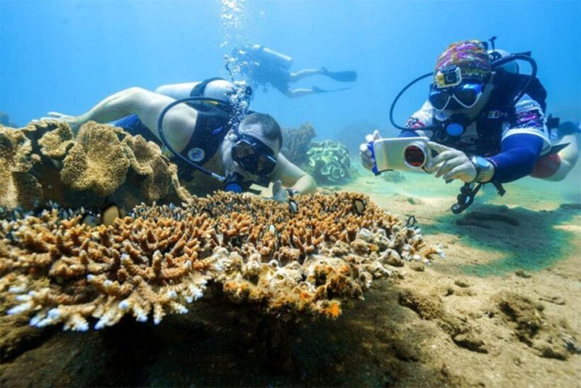 Da Nang: Cham Island Boat Day Trip with Snorkeling and Lunch - Key Points