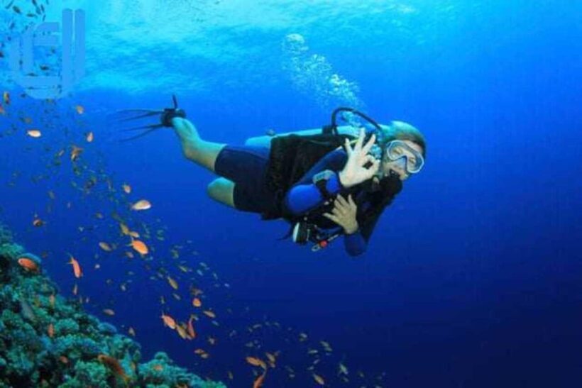Da Nang: Cham Island Boat Day Trip with Snorkeling and Lunch - Who Is This Tour Best For?