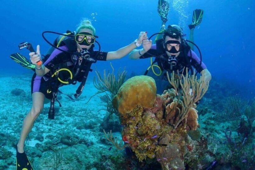 Da Nang: Cham Island Boat Day Trip with Snorkeling and Lunch - FAQ