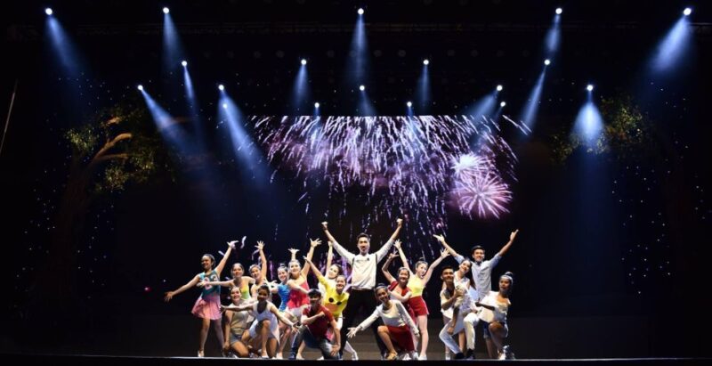 Da Nang: Charming Da Nang Show Ticket - Who Will Appreciate This Show?