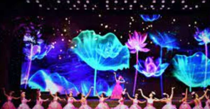 Da Nang Charming Show Viet Nam - Authenticity and Cultural Insights