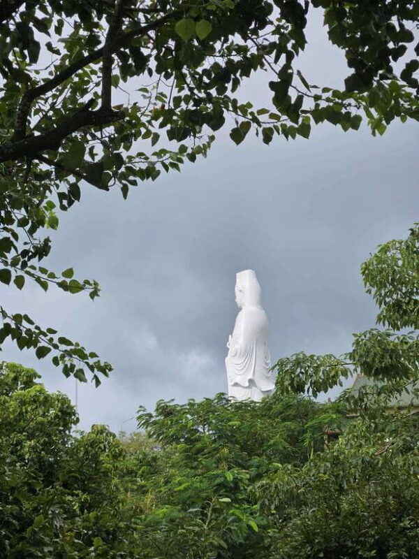 Da Nang City Half Day Tour Marble Mountain, Dragon Bridge - A Closer Look at the Itinerary