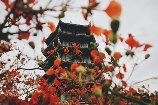 Da Nang City Tour 1 Day- Private Tour - Key Points