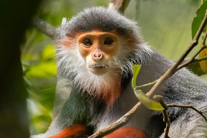 Da Nang City Tour 1 Day- Private Tour - Practical Aspects and What They Mean for You