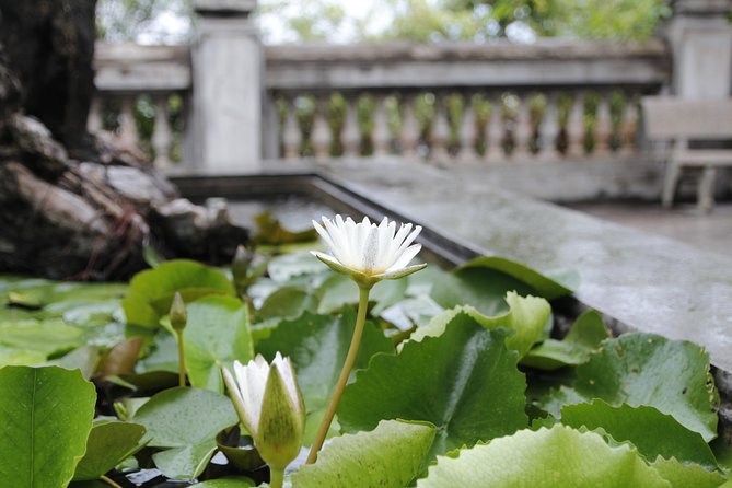 Da Nang Discovery With Cool Locals - FAQ