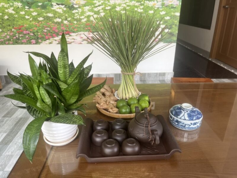 Da Nang: Experience 60 minutes Thai Traditional Massage - Introduction