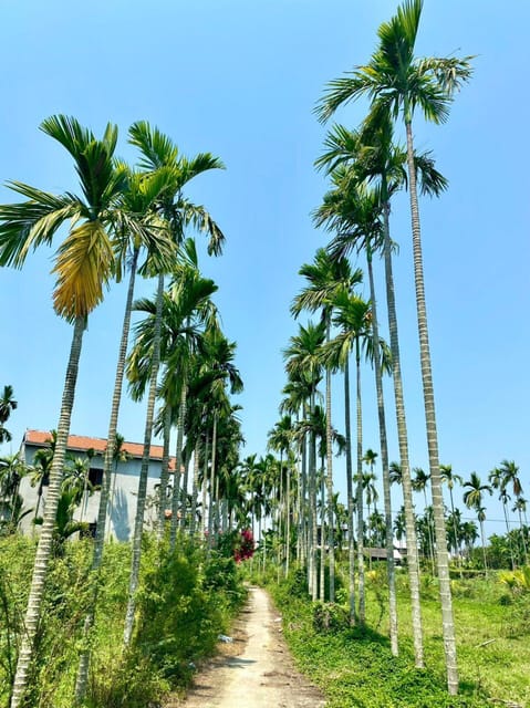 Da Nang: Experiencing the local lifestyle in Hoi An fullday - Who Will Love This Tour?