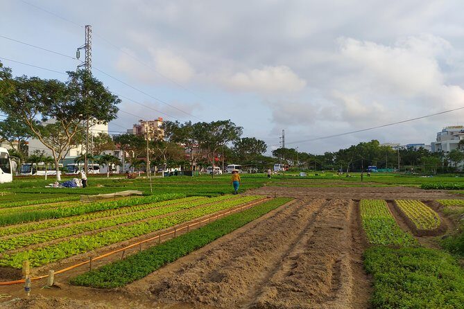Da Nang Farming Bike Tour & Local Food Experience by Co Co River - Key Points