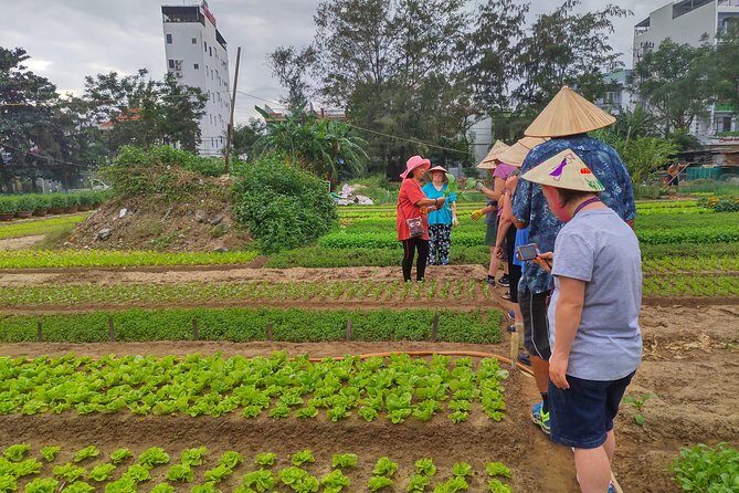 Da Nang Farming Bike Tour & Local Food Experience by Co Co River - In The Sum Up
