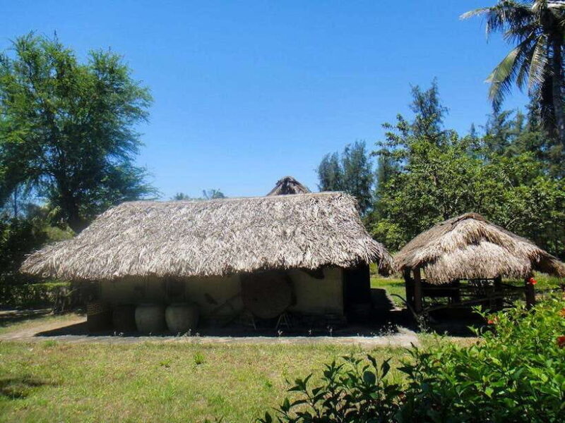 Da Nang: Full-day My Lai Massacre Memory Tour - Key Points