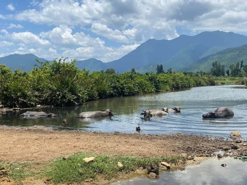 Da Nang: Hoa Bac Jeep Tour with BBQ Lunch and Swimming - An Authentic Adventure in Hoa Bac