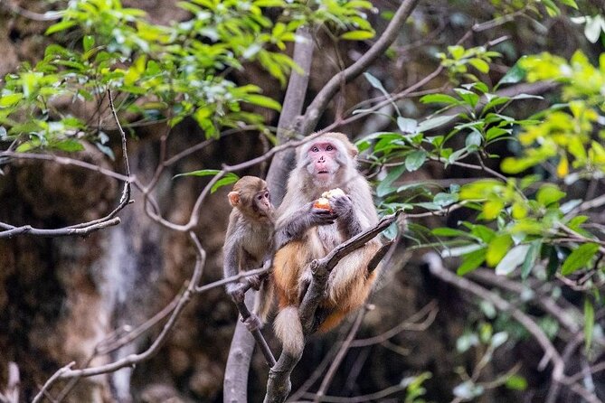 Da Nang Hoi An 5 days 4 nights Tour - What Makes This Tour Stand Out?