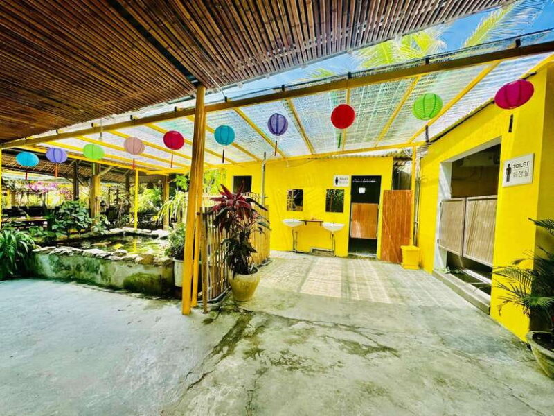 Da Nang: Hoi An Ancient Town and Coconut Forest Tour - Key Points