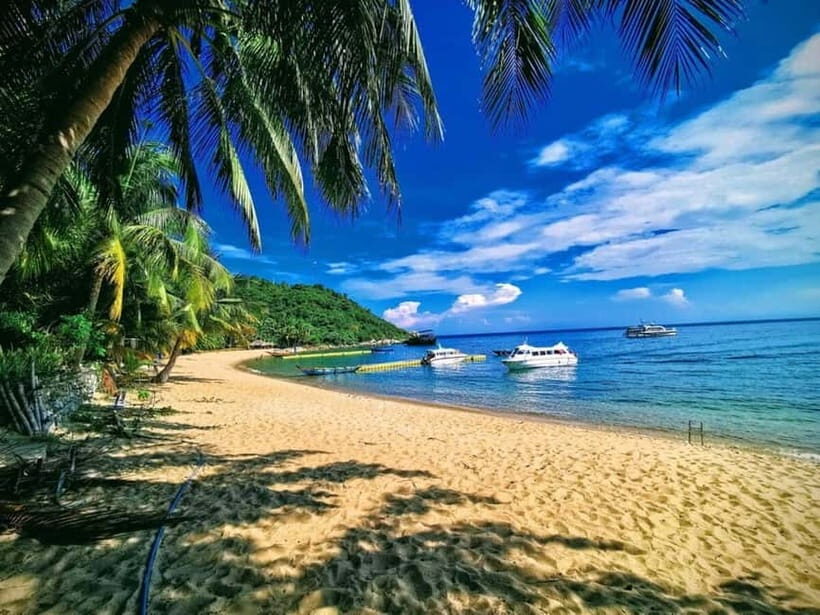 Da Nang/Hoi An: Cham Island Snorkeling or Diving Tour - Water Activities: Snorkeling and Diving